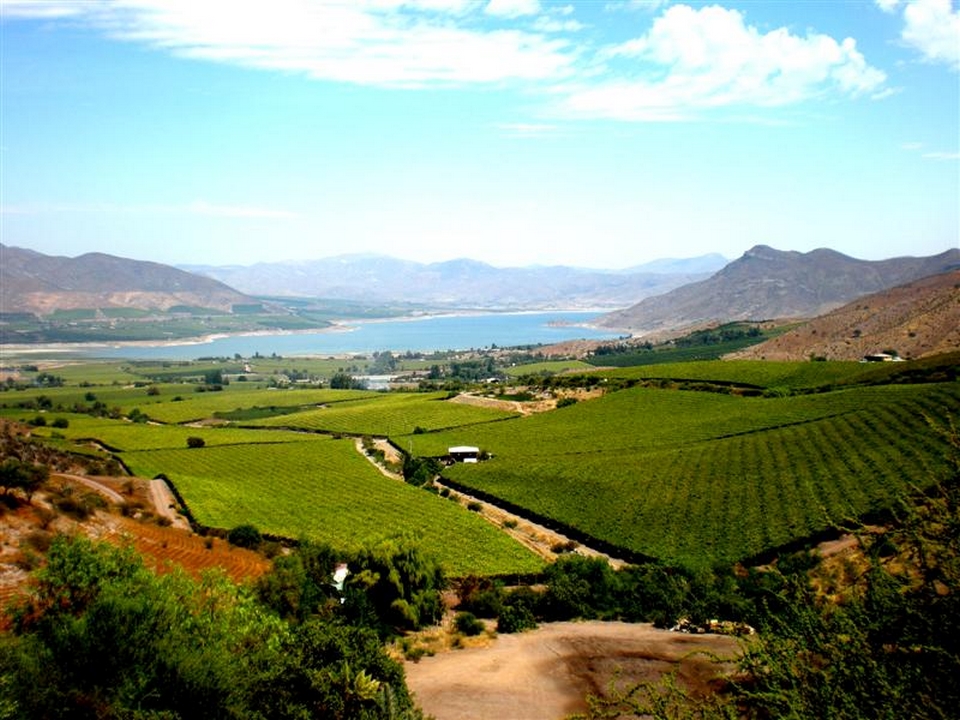 EL PALQUI, atractivo turístico de Chile